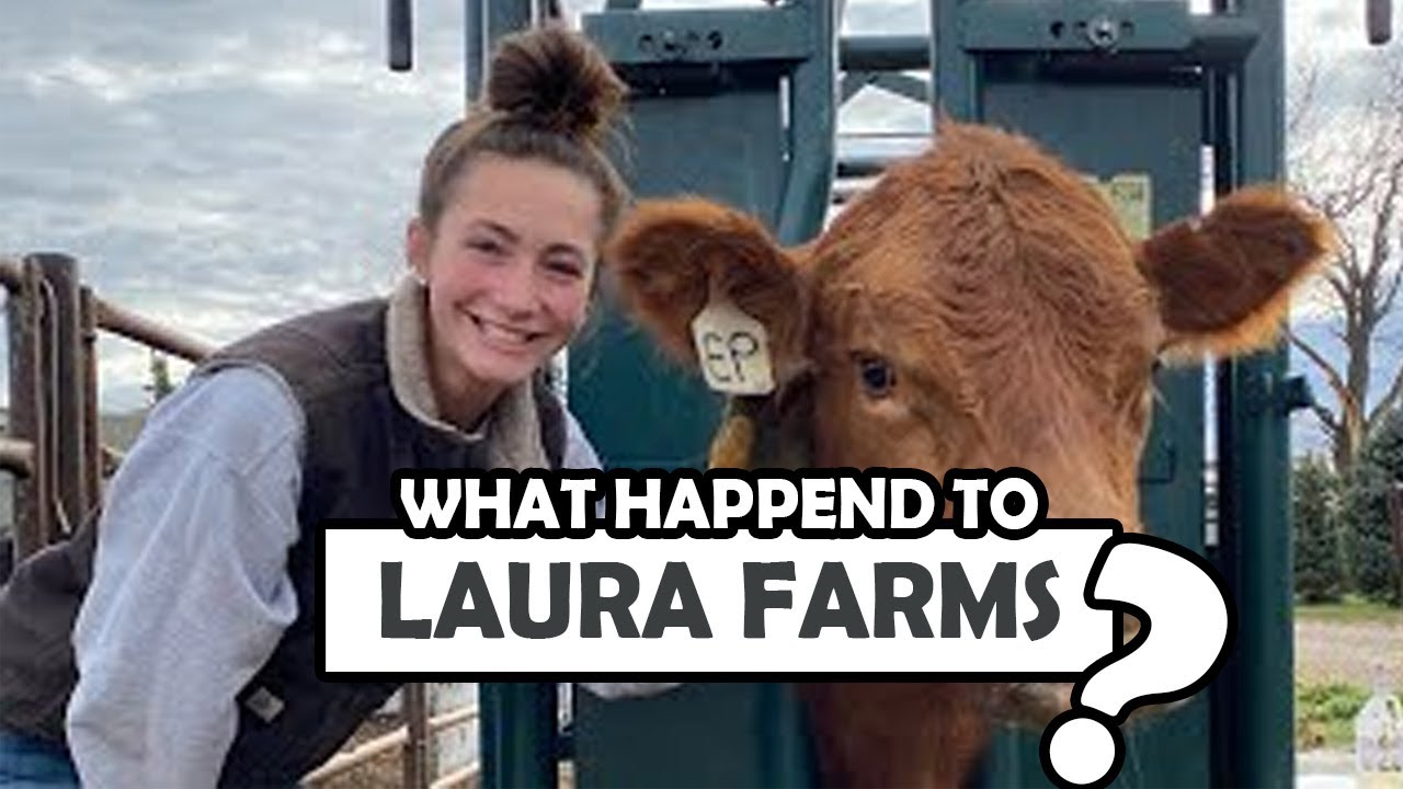 What happened to Laura Farms? Family Tragedy Revealed - YouTube