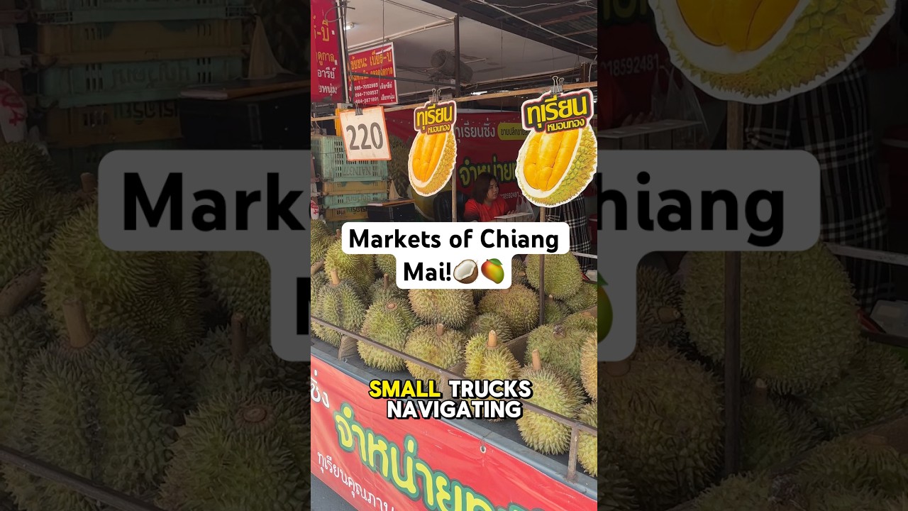Markets are the backbone of Chiang Mai!🍉🍍🍌 #thailandtravel #thailand # ...