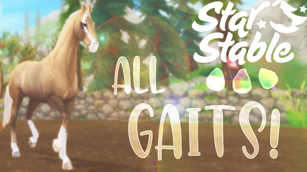 ALL Marwari GAITS (WITH AND WITHOUT RIDER) | Star Stable Updates | SSO ...