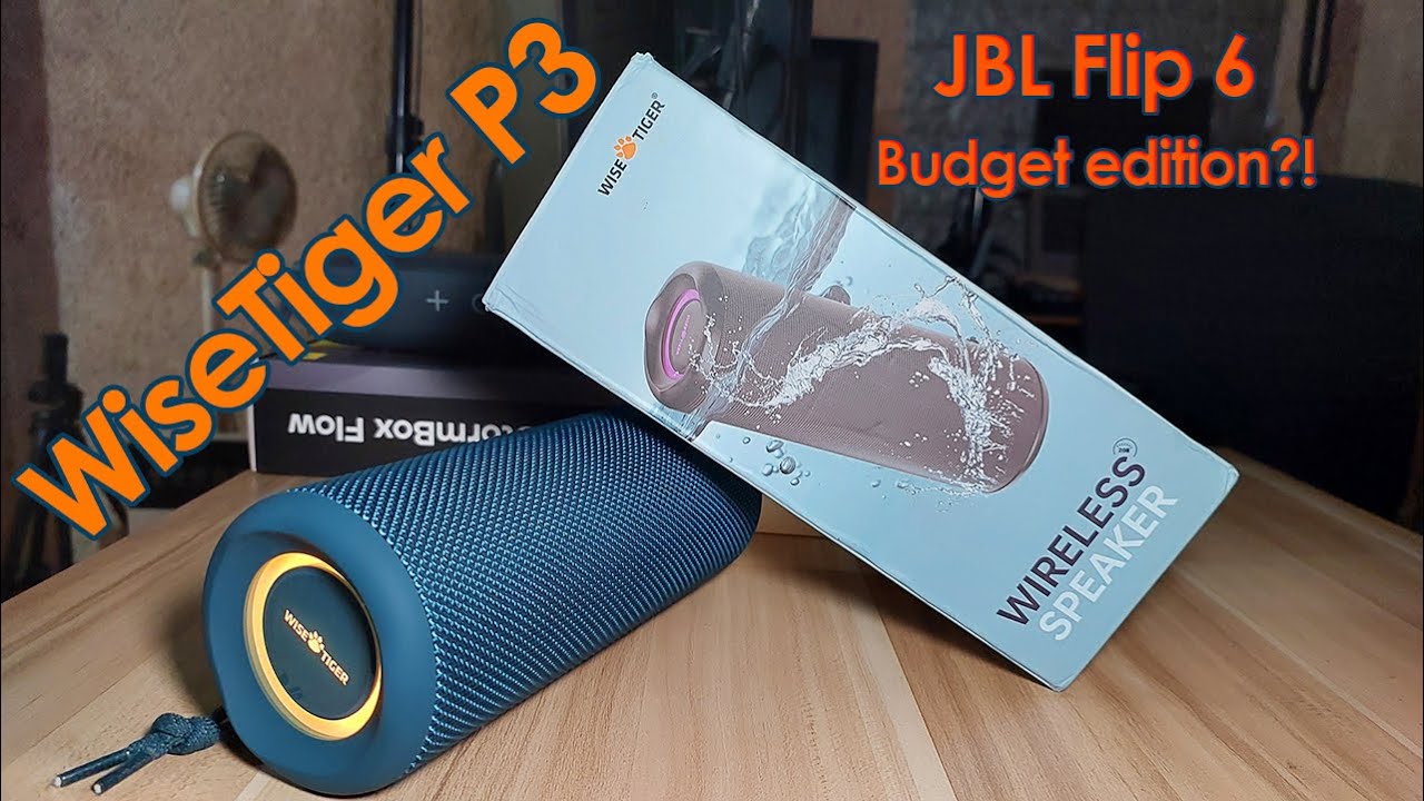 Wise-Tiger P3 | "Budget JBL Flip 6" - YouTube