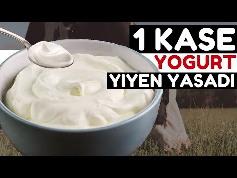 Günde 1 Kase Yoğurt Yemek Vücudunuza Bunları Yapıyor | Yoğurdun Faydaları Nelerdir?