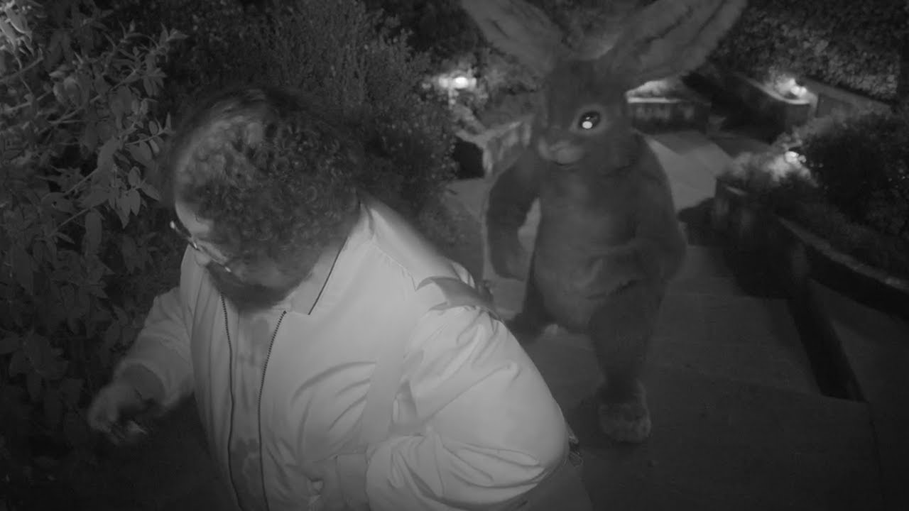 Porch | Tubi Rabbit Hole - YouTube