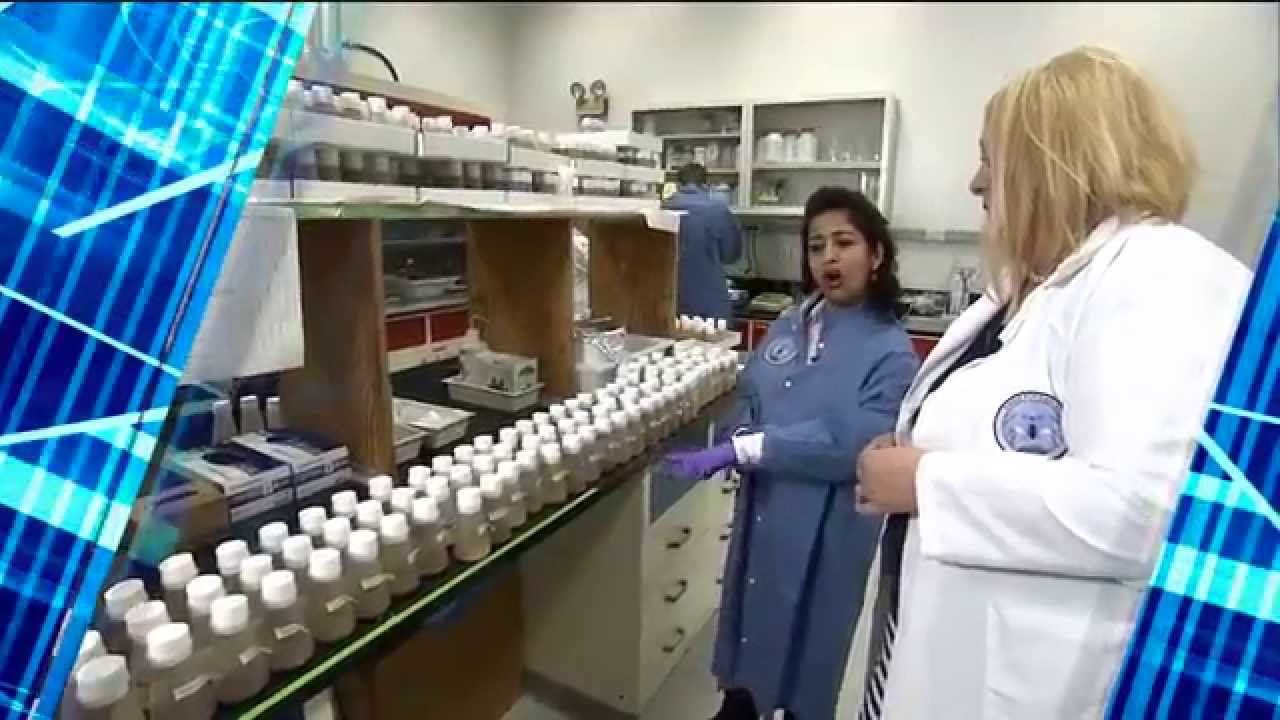 Space Station Live: Fruit Fly Lab - YouTube