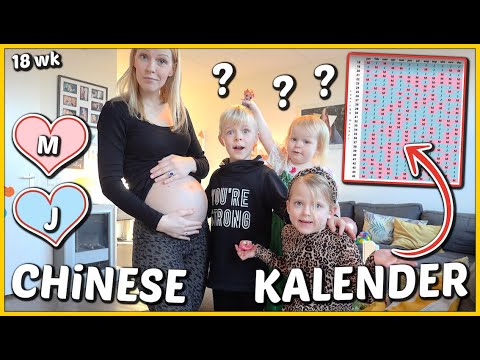 GESLACHT BEPALEN VOLGENS DE CHiNESE KALENDER 📆 💙💖  ( 18 wk zwanger) 🤰🏼 | Bellinga Vlog #1992