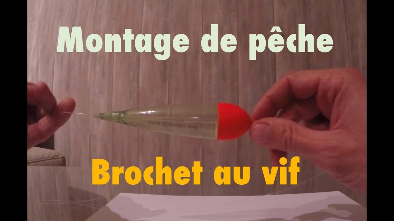 Tuto Pêche Du Brochet Au Vif Montage Avec Bouchon Youtube