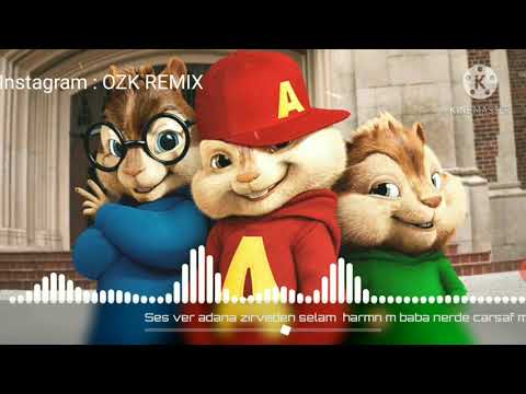 Ses ver Adana zirveden selam durmak yok patlamaya devam (OZK REMIX) hareketli rap 3 version chipmunk