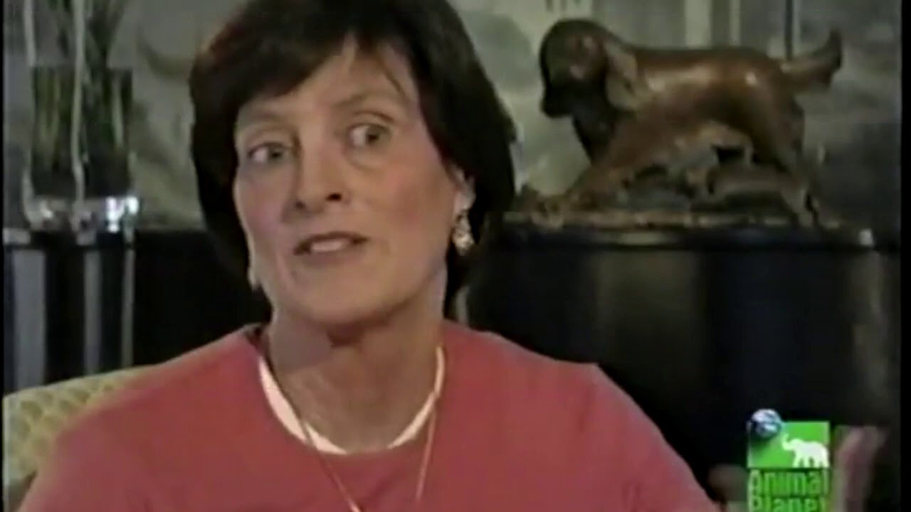 AnimalPlanet - Janet York - YouTube