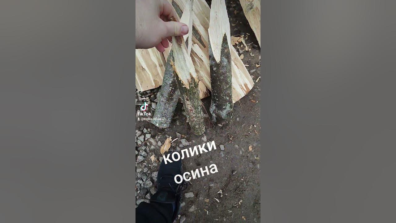 в Продаже осиновые колья купить дрова Одесса Youtube