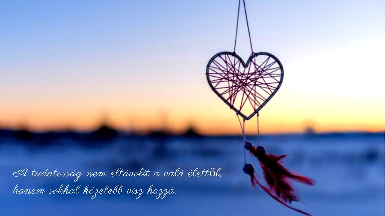 Pintér Luca - Everness - interjú - YouTube