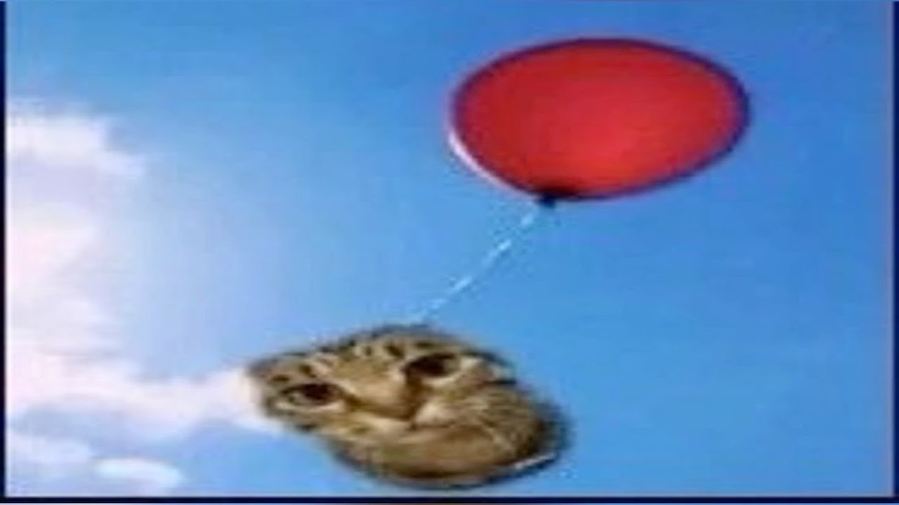 High Flying Memes V68 - YouTube