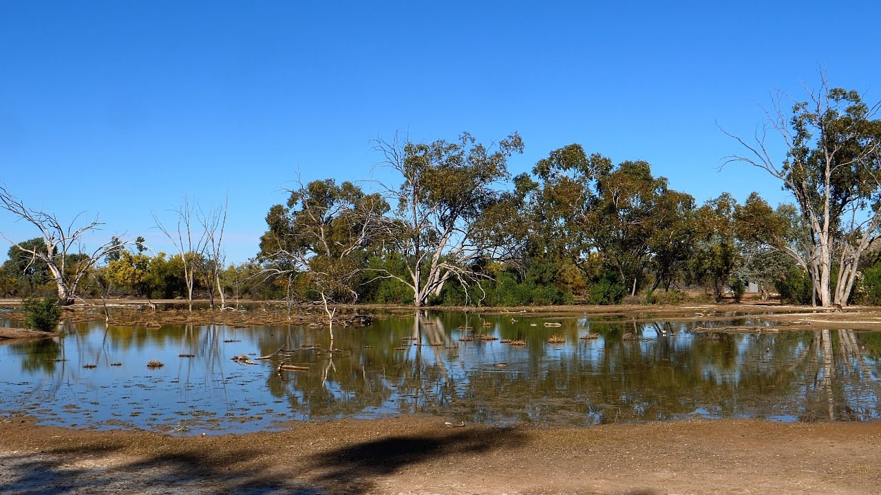 Wildlife Hotspots, deep in the Outback, Bowra Sanctuary - YouTube