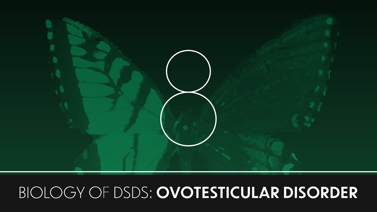 Biology of DSDs (8) Ovotesticular Disorder - YouTube