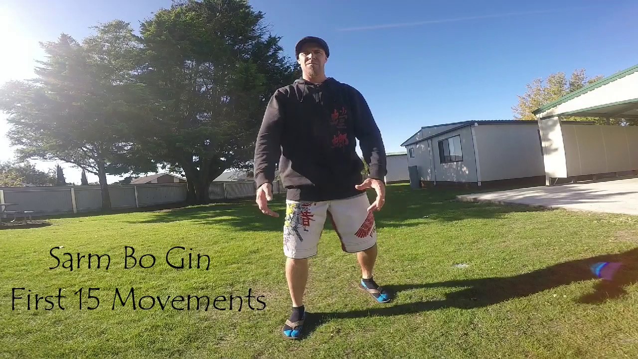 Southern Praying Mantis Kung Fu Sarm Bo Gin First 15 Movements - YouTube