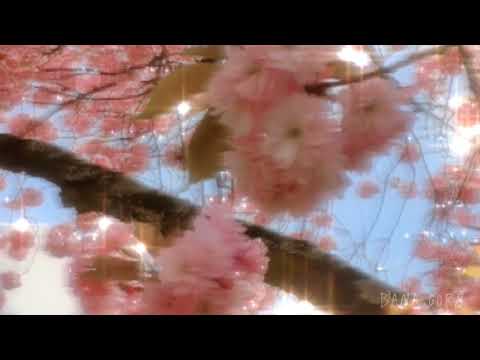 Murat Boz-harbi guzel/speed up
