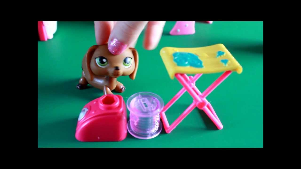 Welcome to my LPS Fun House - Tour my Dachshund Savarrah's Home ...