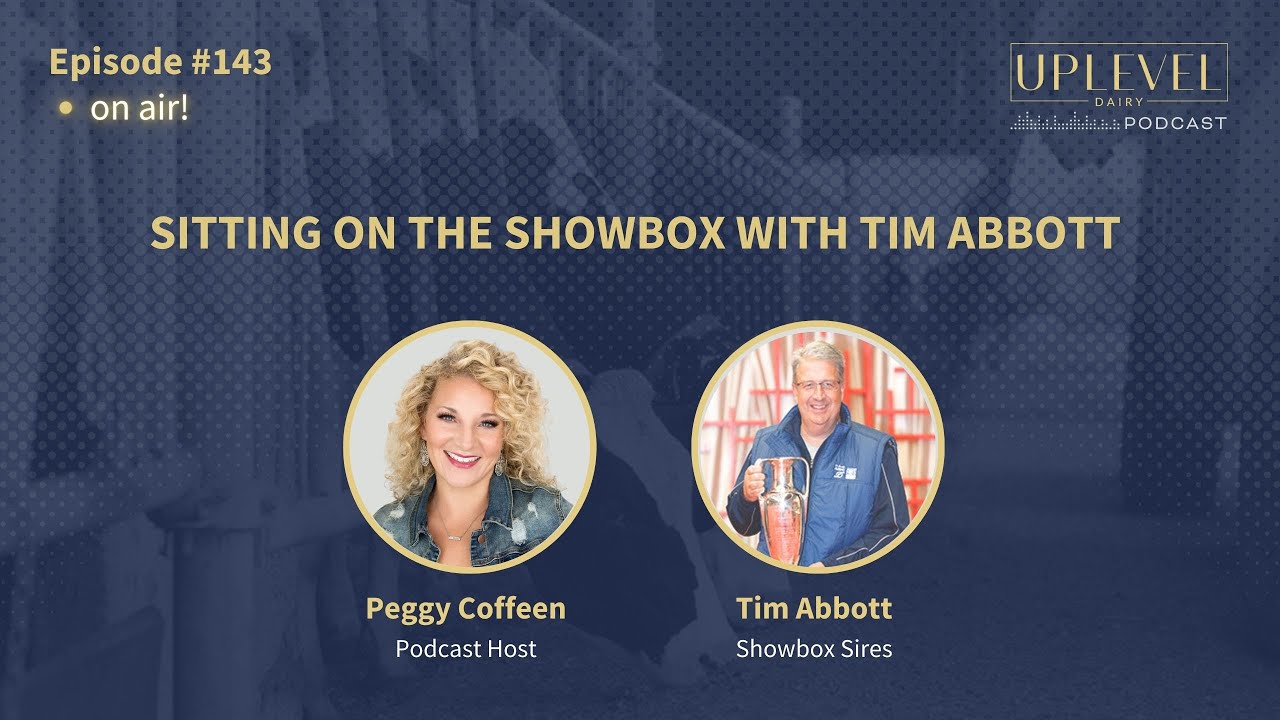 Sitting on the Showbox with Tim Abbott | Showbox Sires | Cattle ...