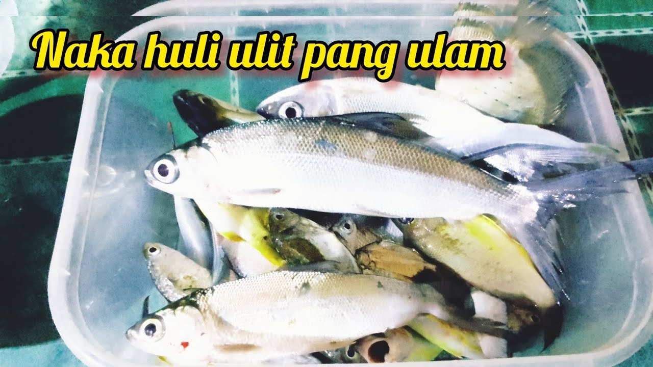 nakahuli ulit pang ulam | @Sacayanmix - YouTube