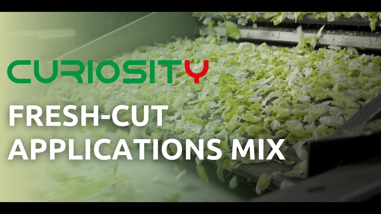 Curiosity Optical Sorter: Fresh-Cut Applications Mix | RAYTEC VISION ...