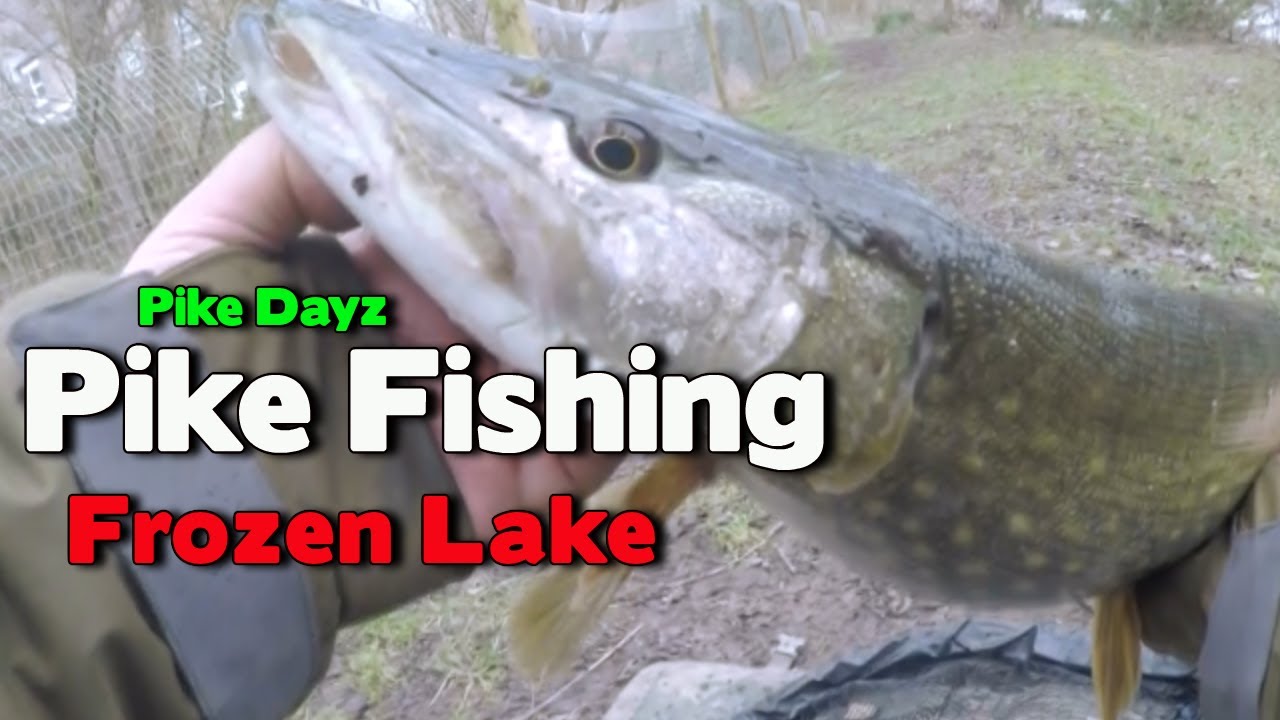 Pike Fishing A Frozen Lake - YouTube