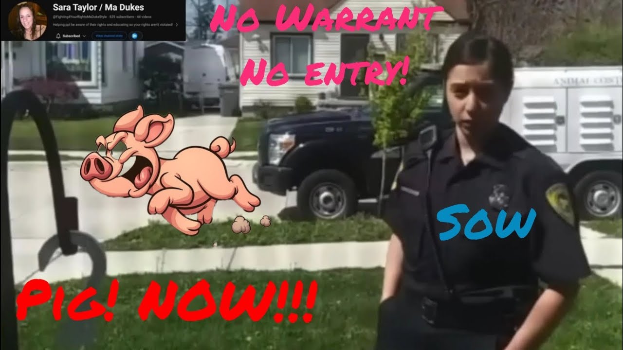 Swine showing up a second time, demanding the Pig??? - YouTube