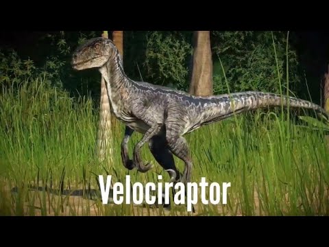 Dino Files 5: Velociraptor
