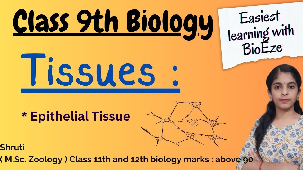 Class 9th : Tissue ( Part 3 ) - Epithelial Tissue #biology #cbse - YouTube