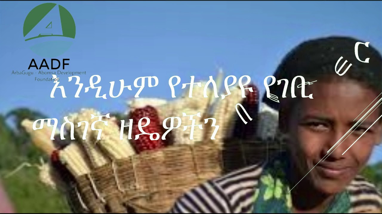 AADF OFFICAL youtube channel - YouTube