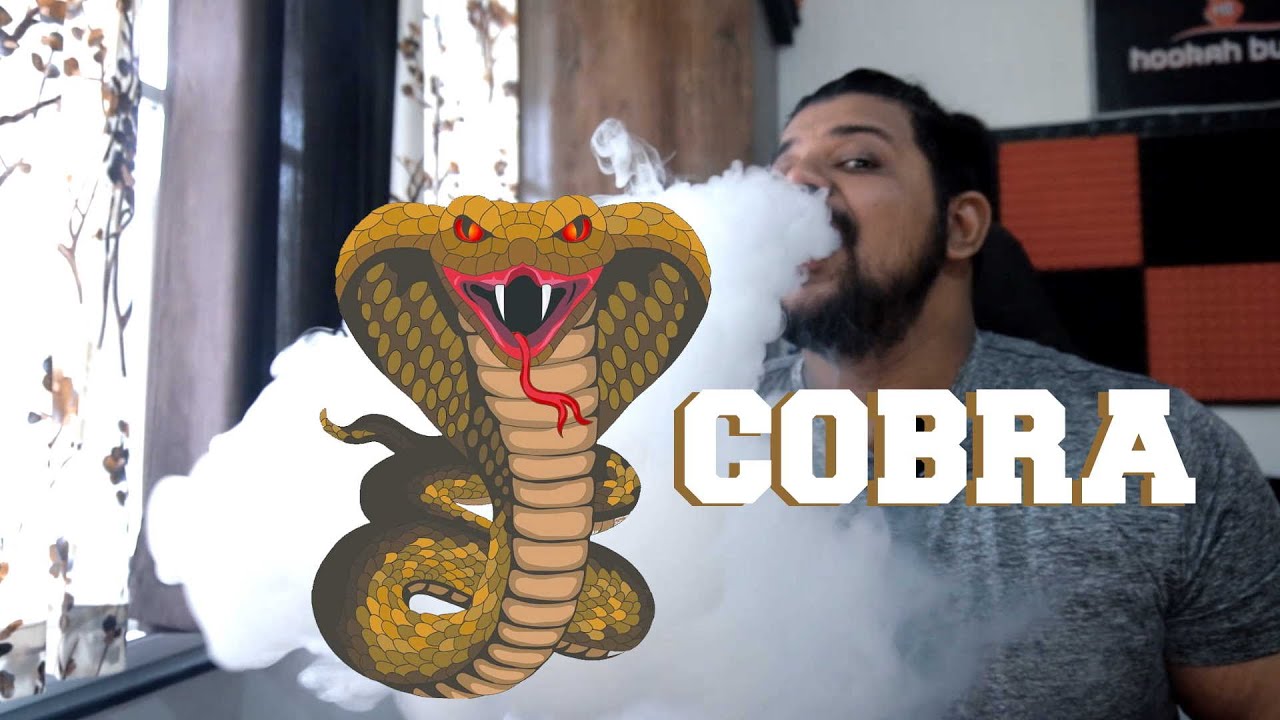 COBRA Select - HABANERO GINGER | Hookah Flavours | Vlogs - YouTube