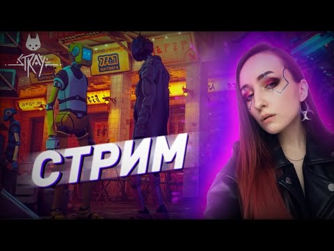 МИР БУДУЩЕГО ГЛАЗАМИ КОТИКА) STRAY