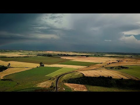 Trakya Karakavak Bisiklet