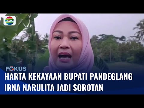 Harta Kekayaan Irna Narulita Diduga Mencapai 62 Miliar Rupiah | Fokus - YouTube