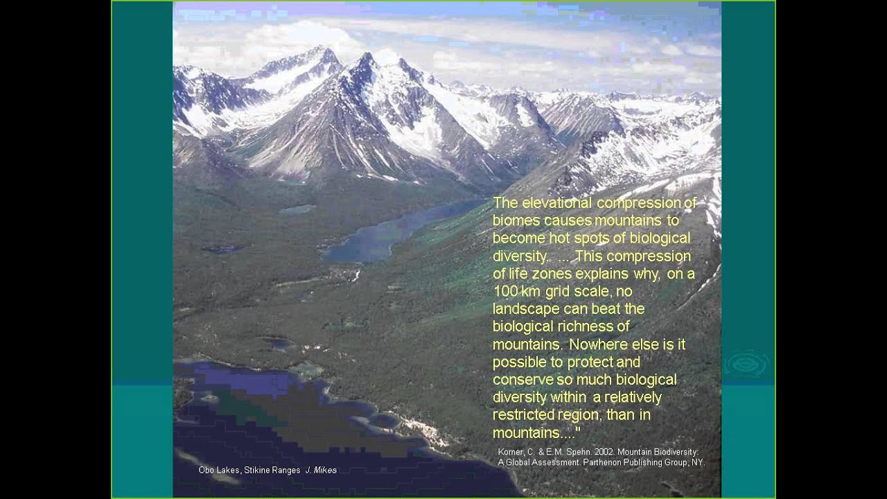 Jim Pojar -- Conservation assessments: examples of approaches using ...