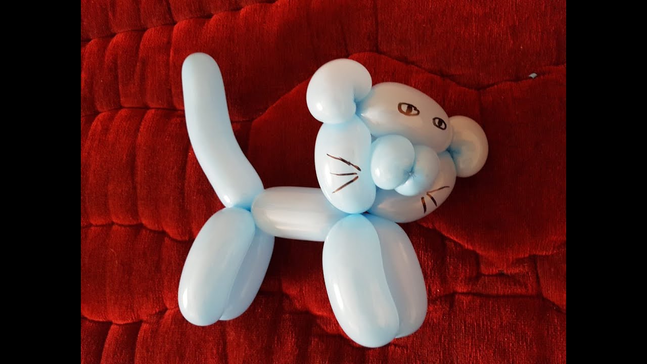 Comment faire un CHAT en ballons 🐱 - YouTube