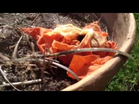 Oil rag fire - YouTube