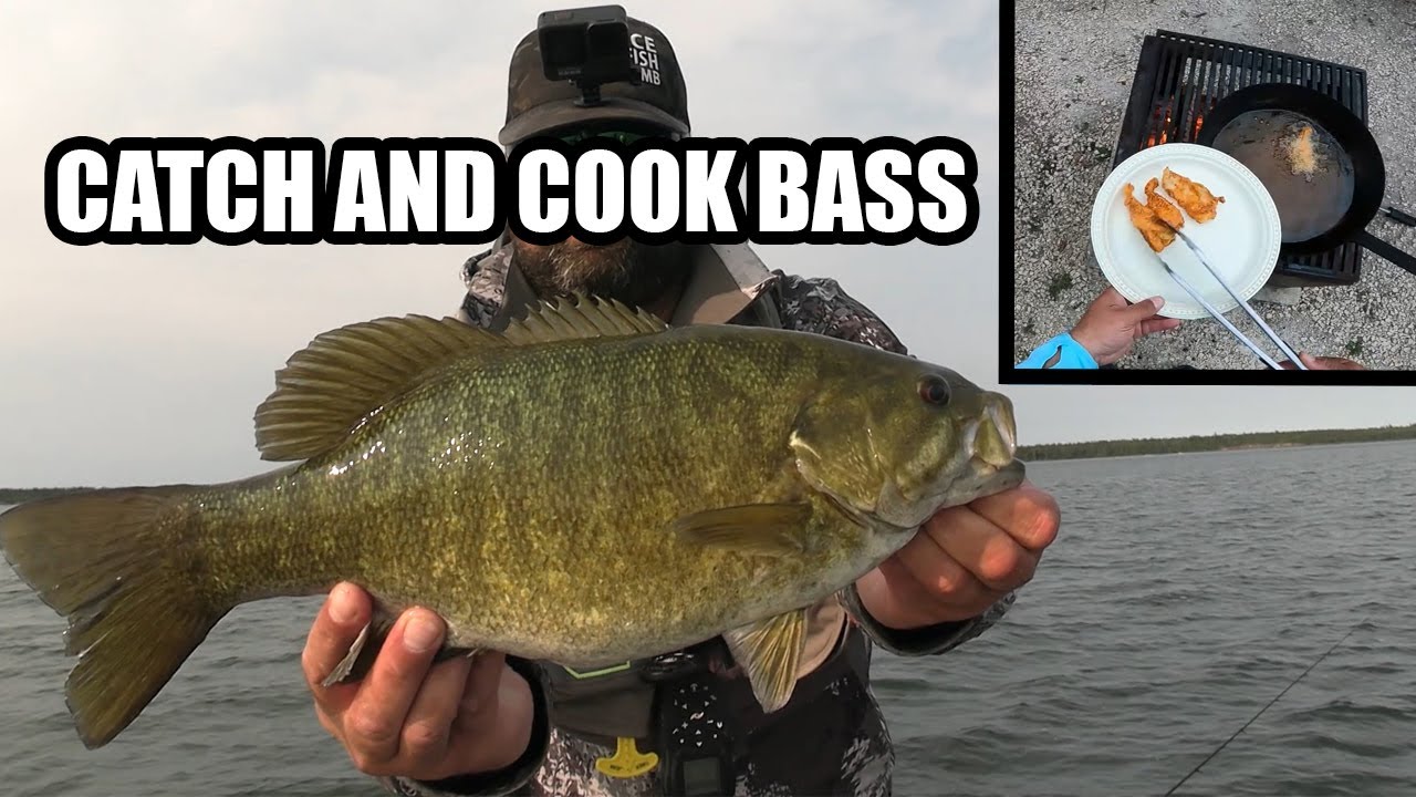 Catch and Cook Smallmouth Bass!! - YouTube