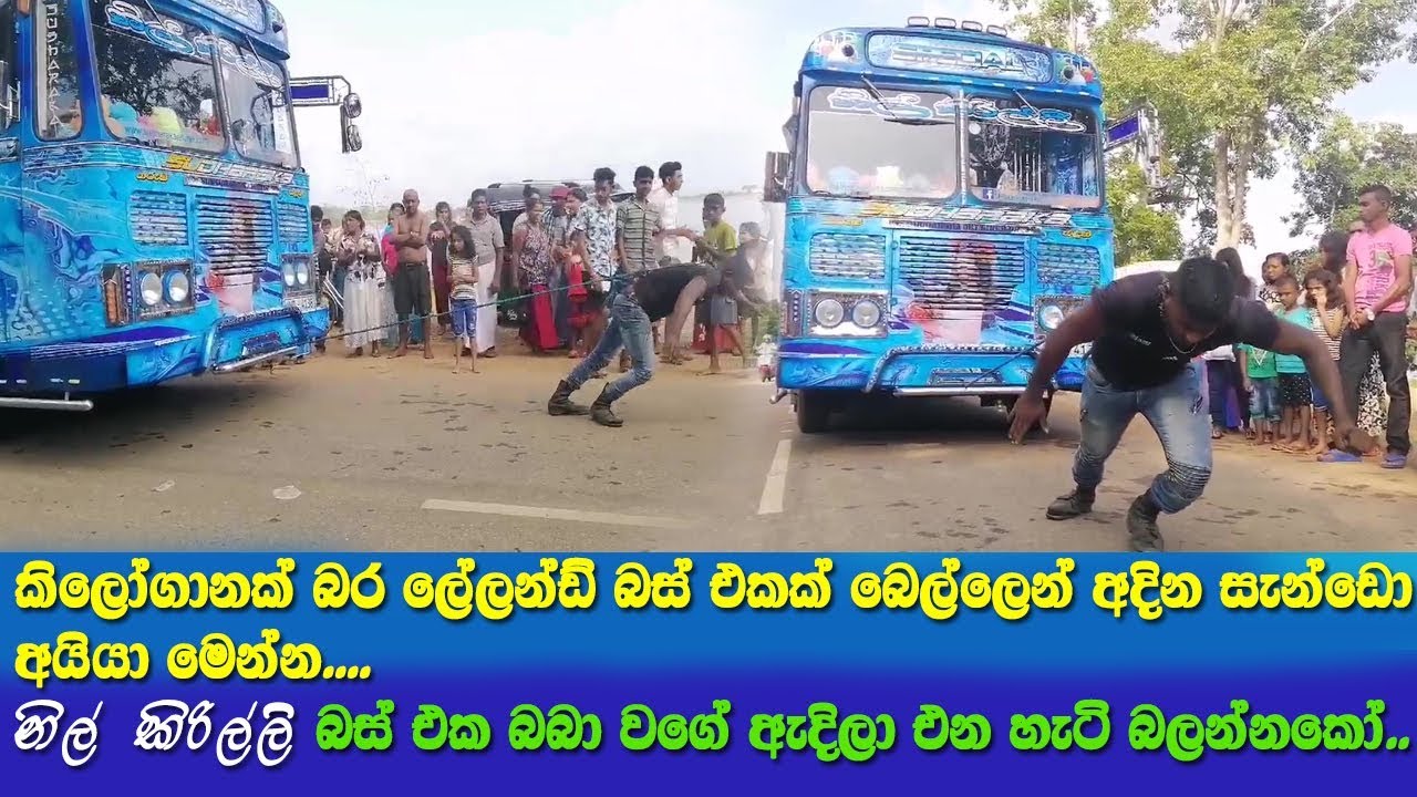 නිල් කිරිල්ලී බස් එක බෙල්ලෙන් අදින සුපිරි වැඩ කාරයෙක් | Nil Kirilli Bus ...