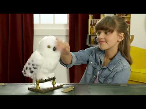 Edvige Harry Potter #Edvige #HarryPotter #WizardingWorld #Magia #Collezionismo #Potterhead #hogwarts