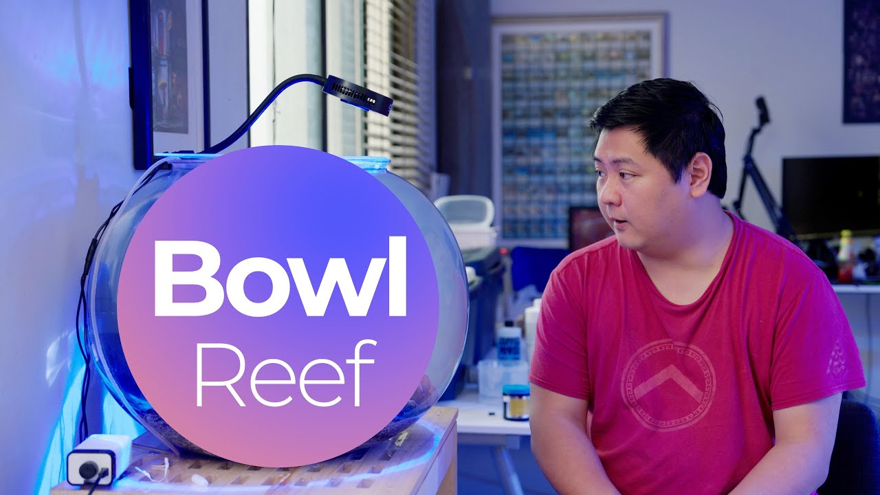 Going Bowling! 25G Reef Tank Fish Bowl! - YouTube
