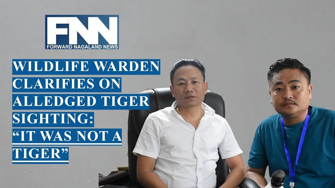 WILDLIFE WARDEN CLARIFIES ON ABOUT TIGER SIGHTINGS IN KOHIMA & DIMAPUR ...