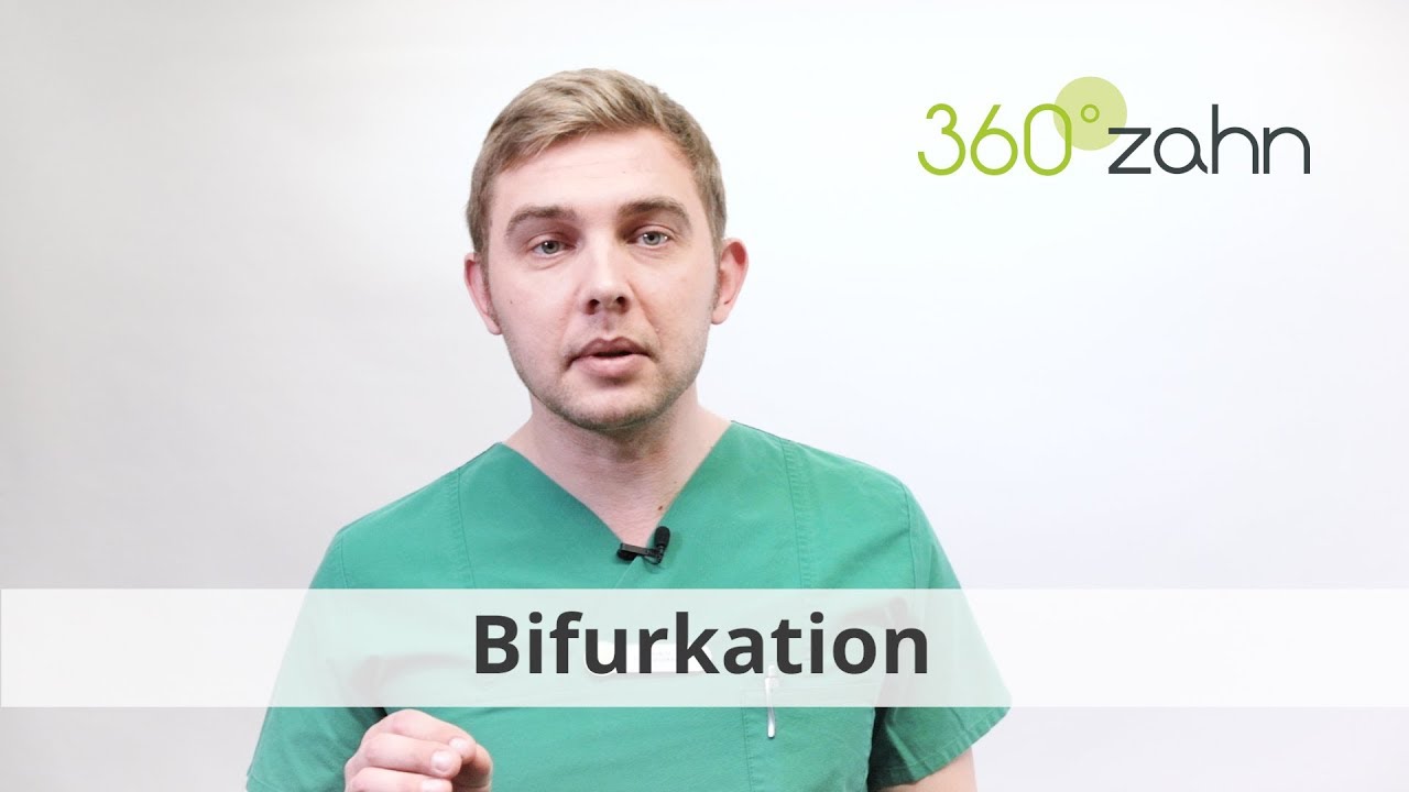 Bifurkation - Was ist eine Bifurkation? | Dental-Lexikon | 360°zahn ...