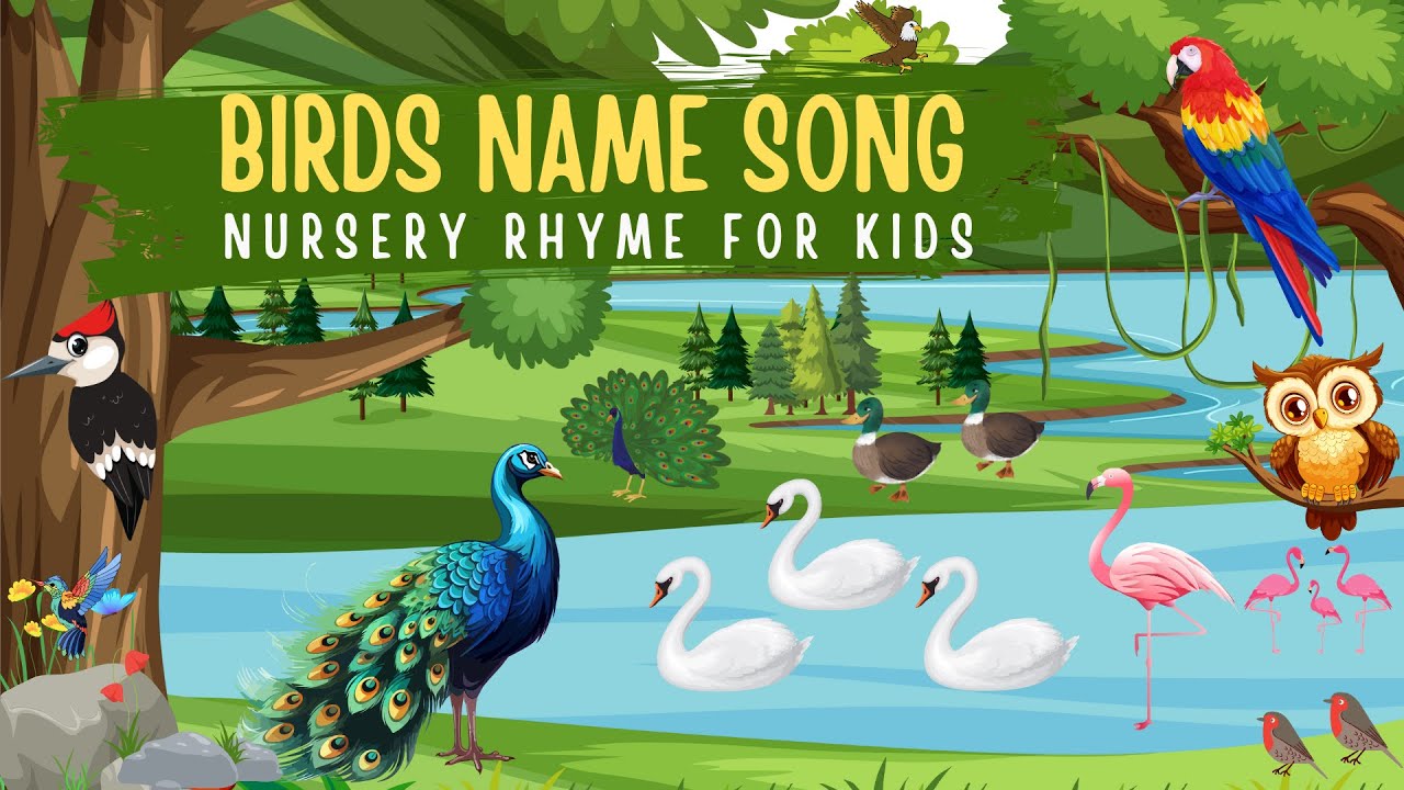 Birds Name Song 🎶 Learn English Bird Names Preschool Nursery rhymes for ...