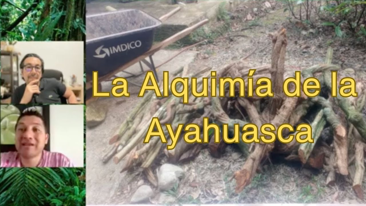 Ayahuasca y Alquimia: Conversación con Mauricio Romo sobre el poder del ...