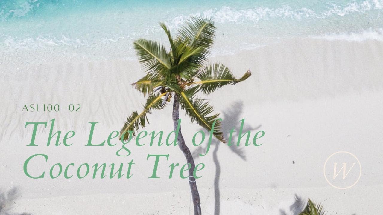 The Legend of the Coconut Tree - YouTube