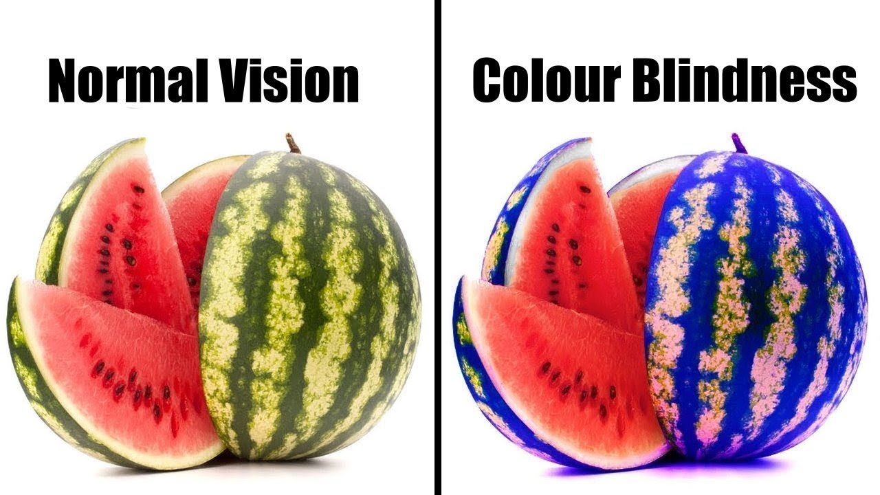 6 Facts About Color Blindness You'll Be Surprised to know - YouTube