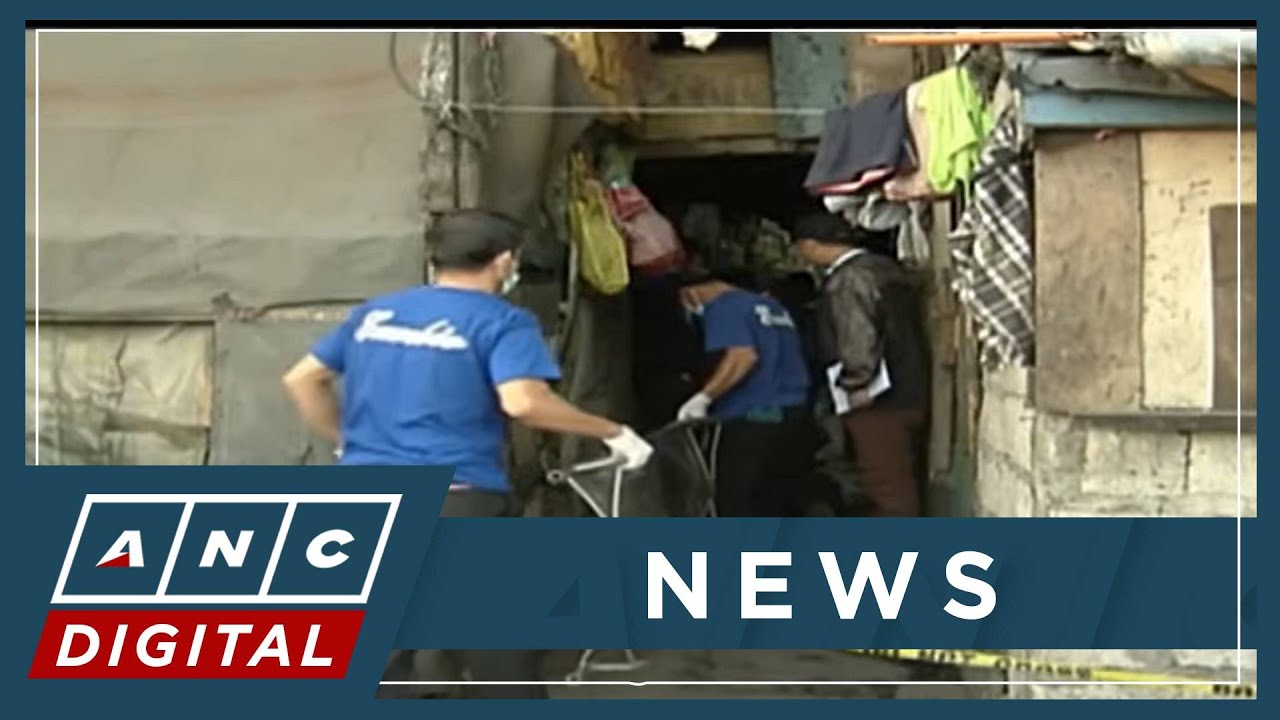 Leila de Lima lauds Duterte arrest: 'Triumph of rule of law and justice ...