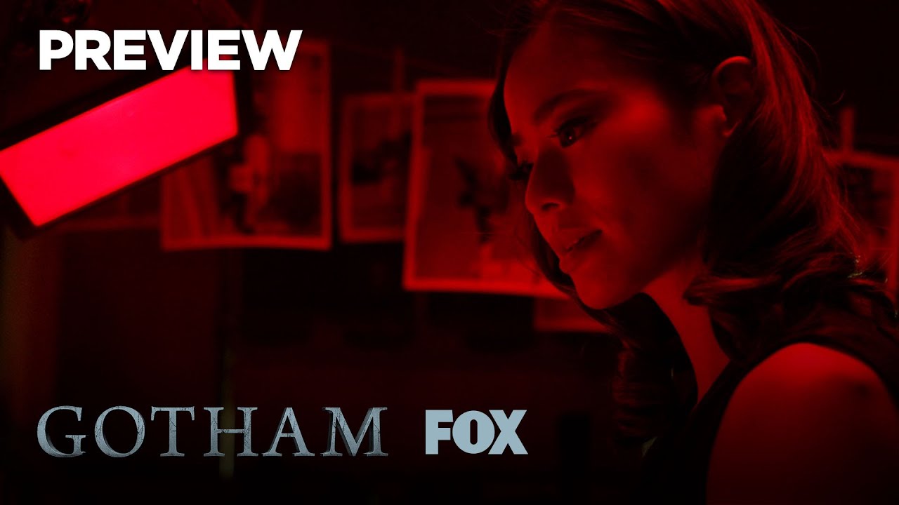 Gotham Fox Logo