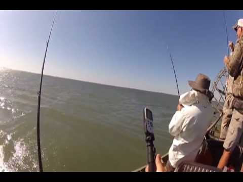 Fishaholic TV - Airboat fishing for reds - YouTube