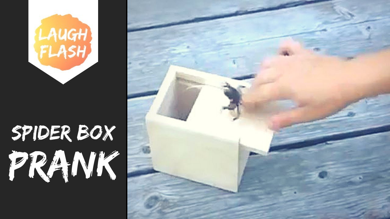 🕷️ Scary Spider Box Prank Compilation 🕷️ - YouTube
