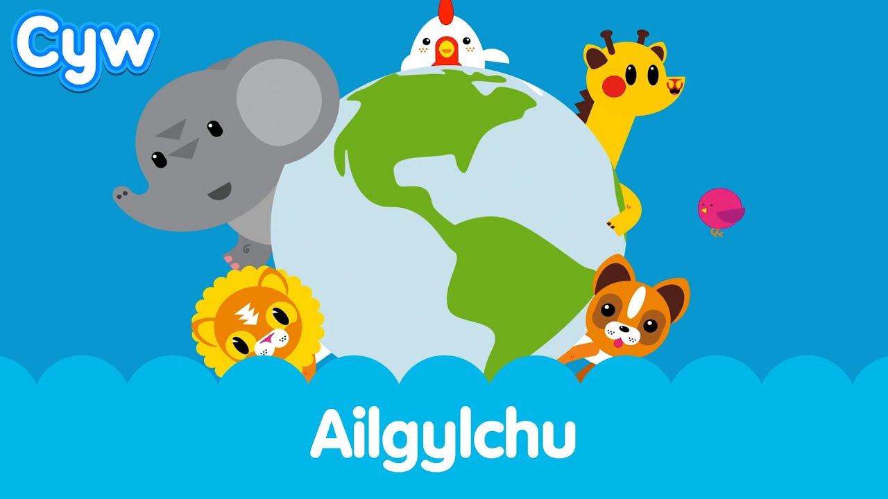 Cân Ailgylchu Cyw | Cyw's Recycling Song - YouTube