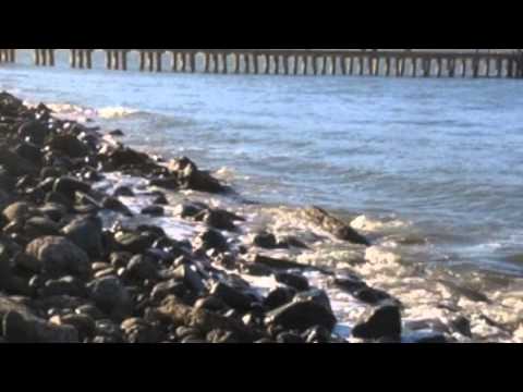 Golden Gate Bridge Theme Song - YouTube